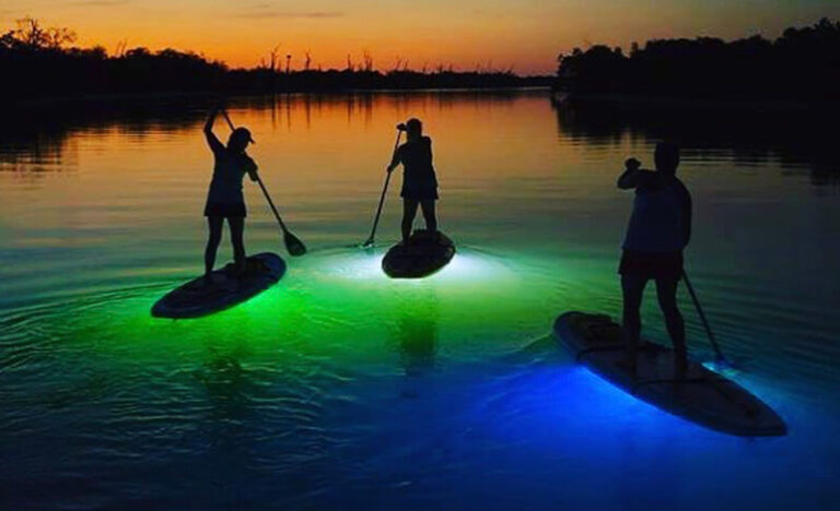 How Kayak Lights Is Work ? Stay Safe And Enjoy Kayaking | 2023