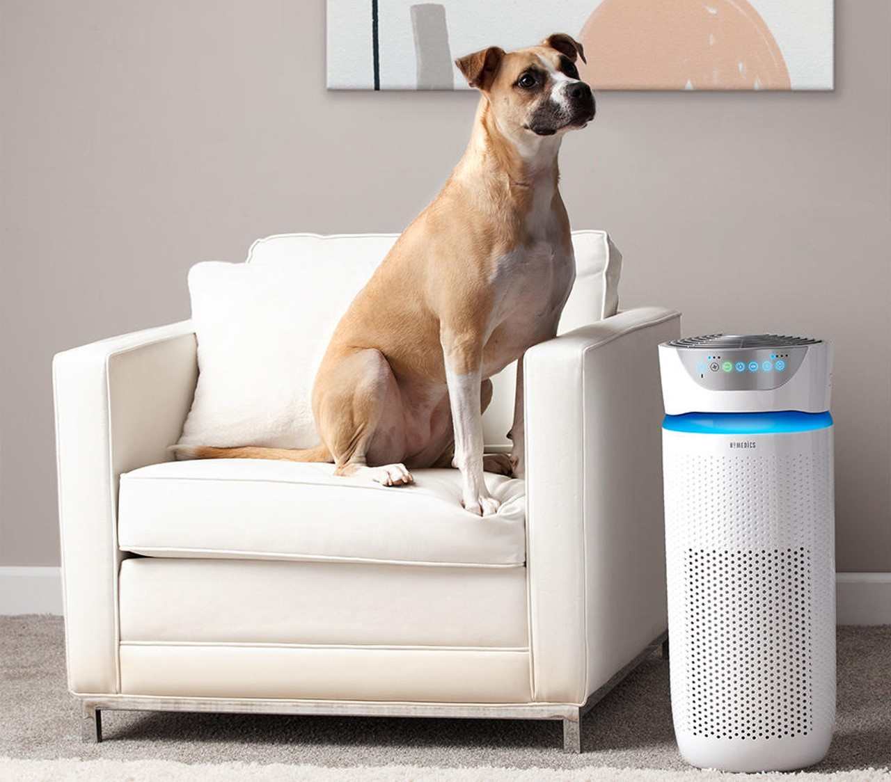 HoMedics Air Purifier Red Light Blinking: How To Fix It 2023