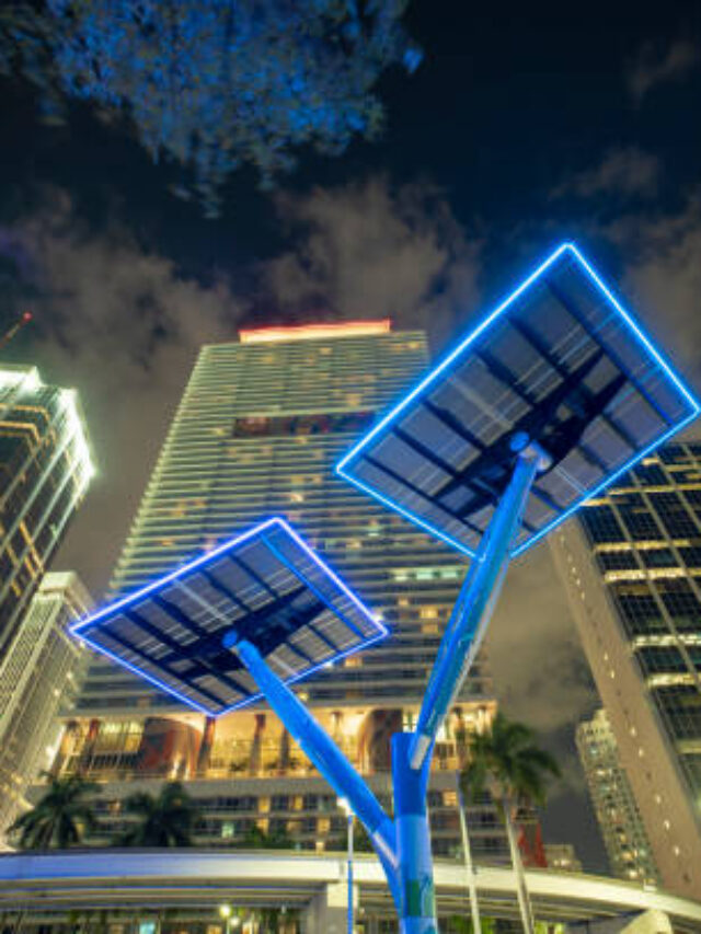 How To Enhance Your Arena Experience With Solar Arena Lights - LightCheckUp